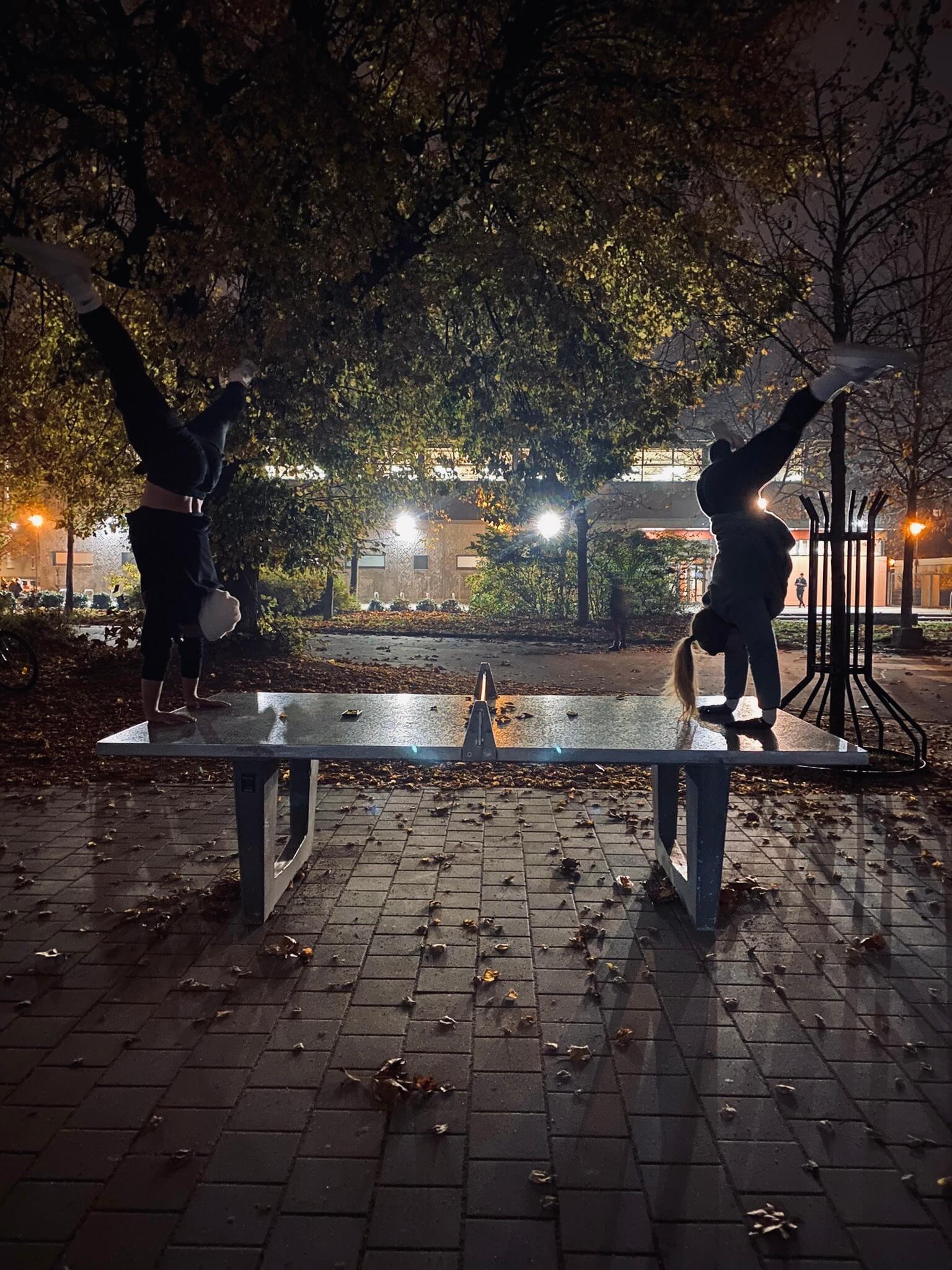 Calisthenics-Training in Leipzig mit dem Rabet Calisthenics e.V.